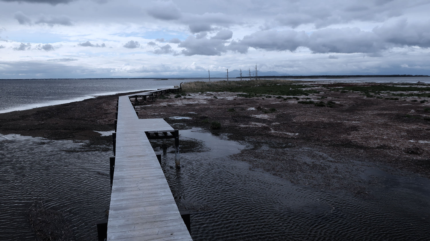 bardland – gena kuwan